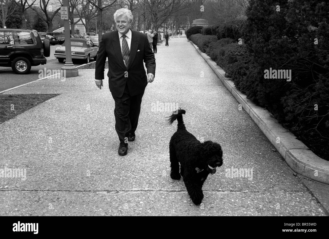 US Senator Ted Kennedy outside his senate office building walking his ...