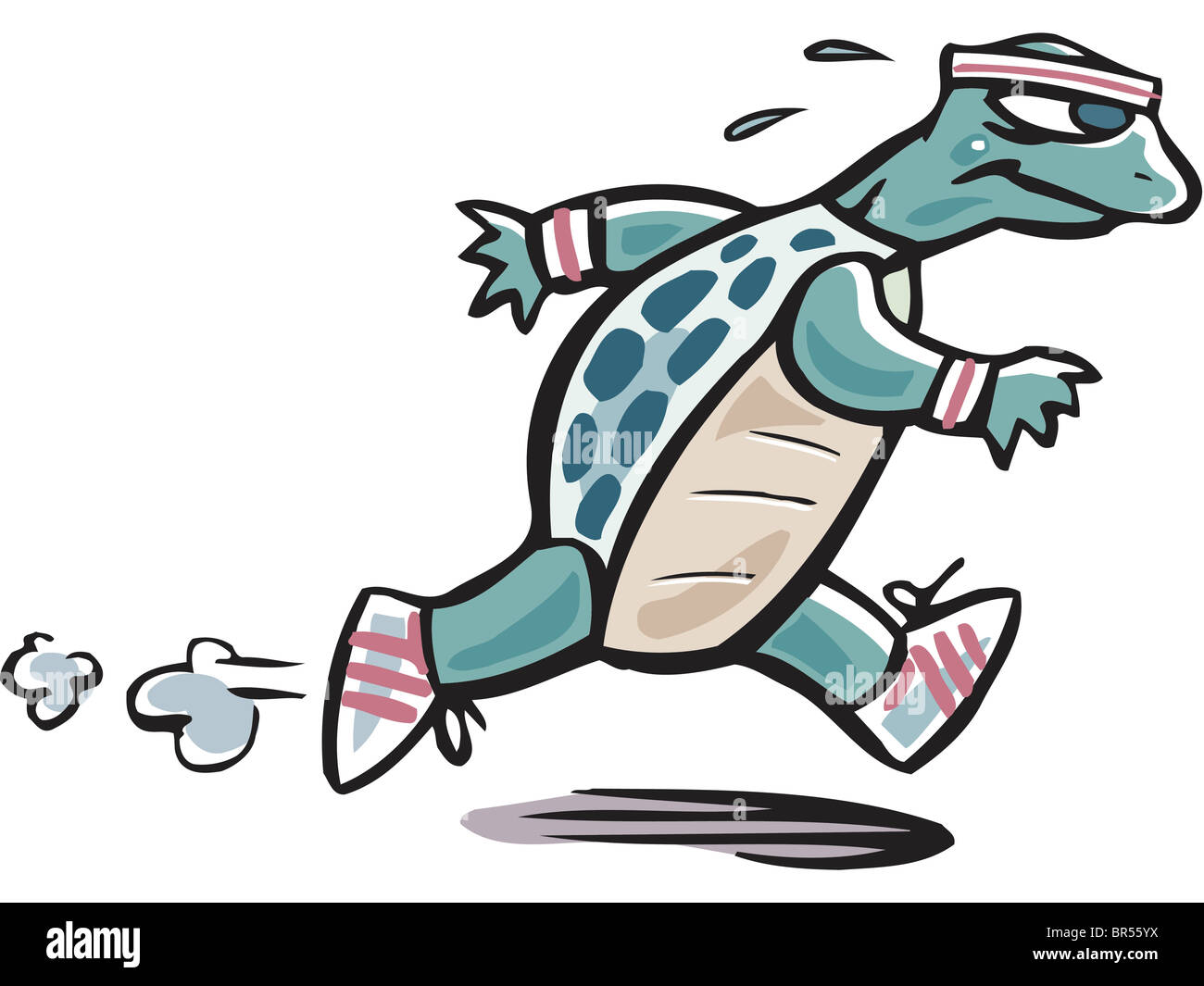 Cartoon Turtles Running