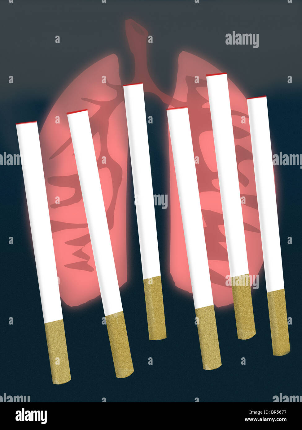 Cigarettes line hi-res stock photography and images - Alamy
