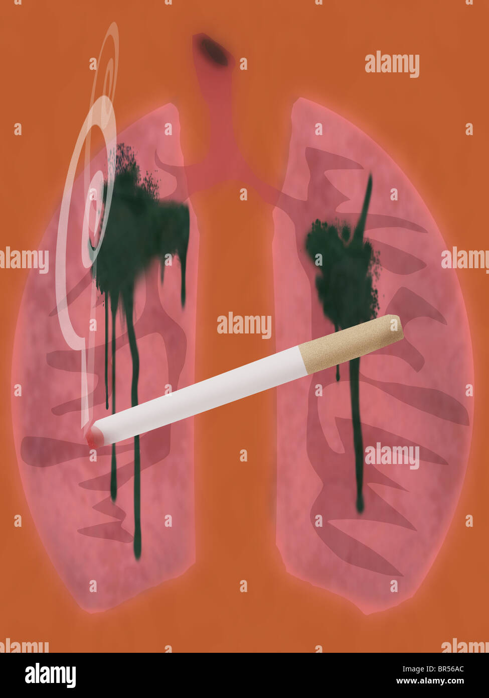 Tar color hi-res stock photography and images - Alamy