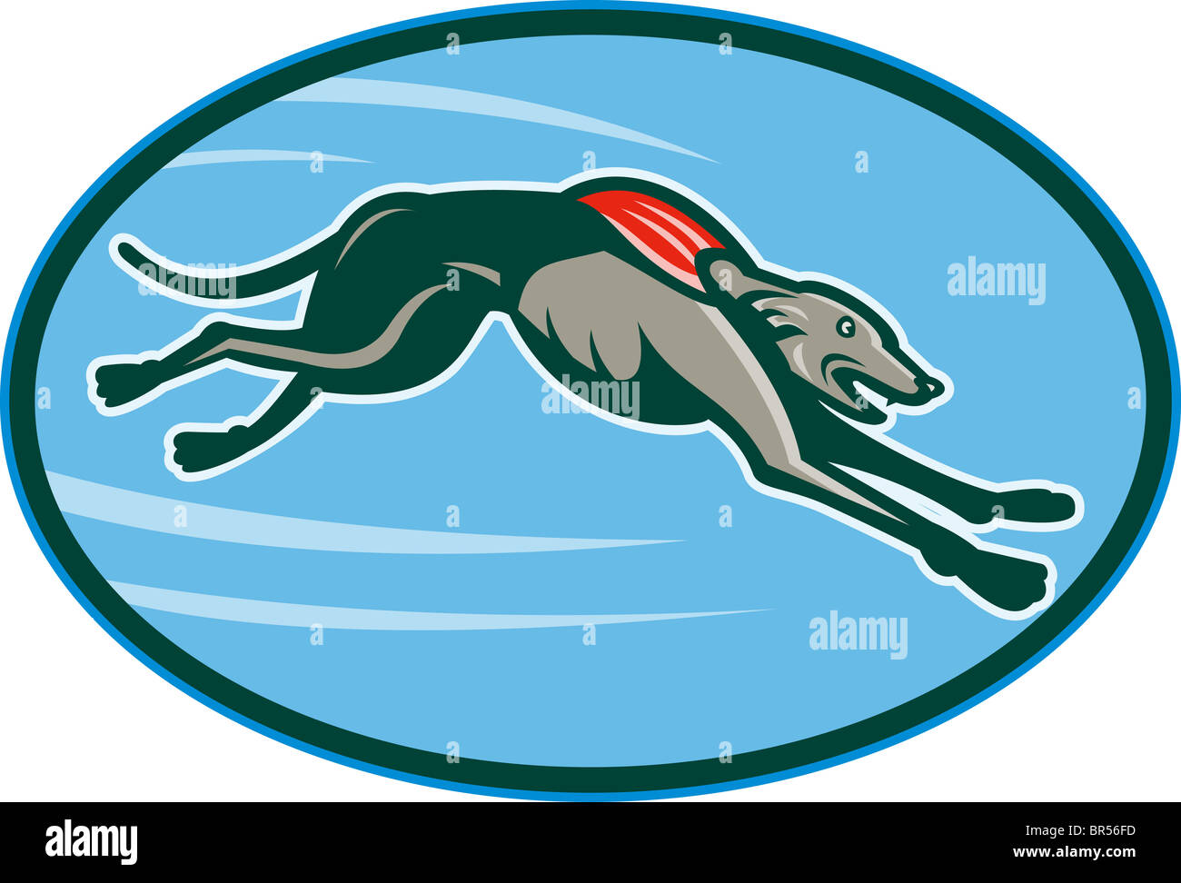 illustration of a Greyhound racing and jumping set inside oval Stock ...