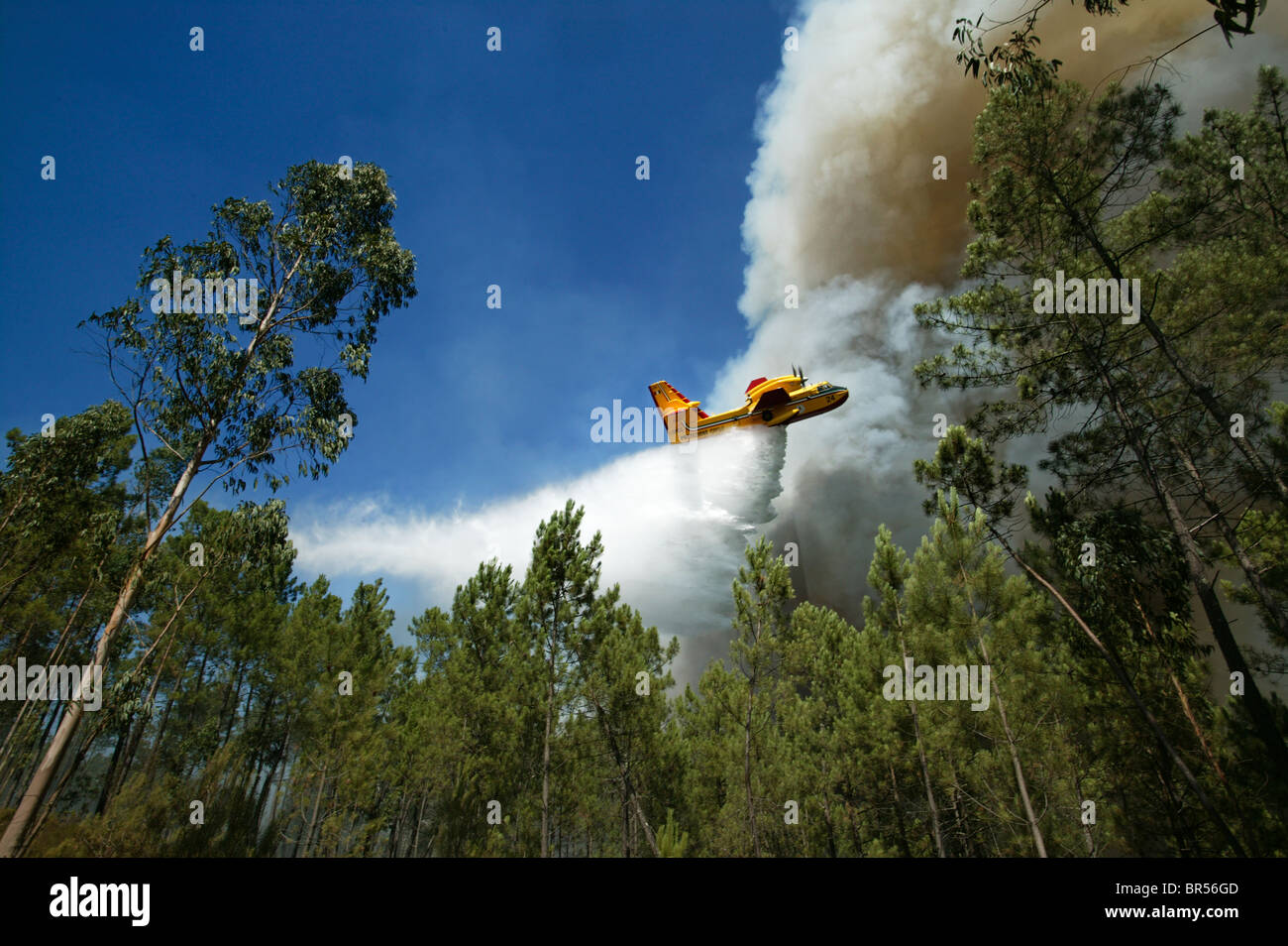 Airplane drops water over a wildfire in central Portugal Stock Photo ...