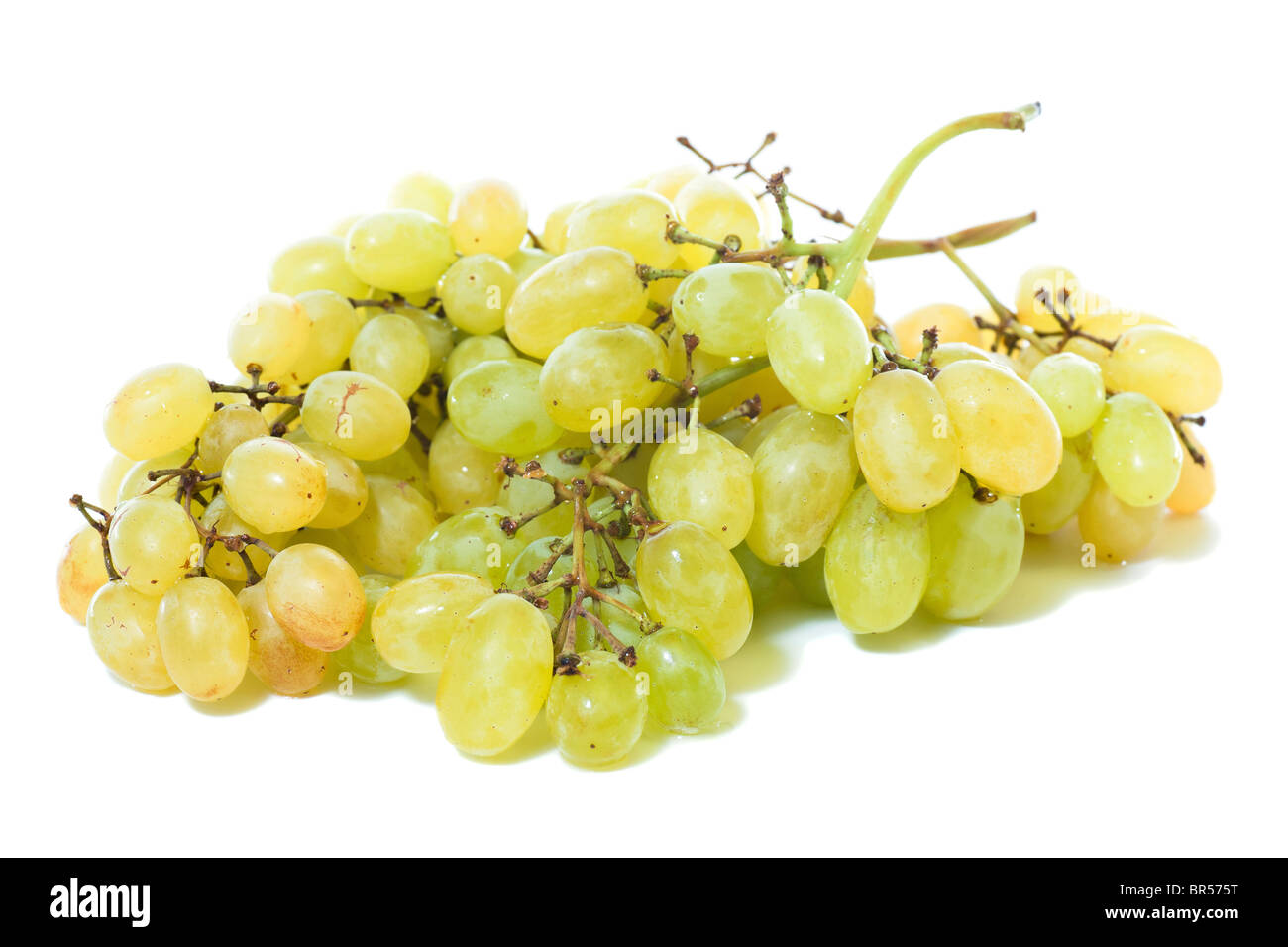 Green seedless grapes on vine Cut Out Stock Images & Pictures - Alamy