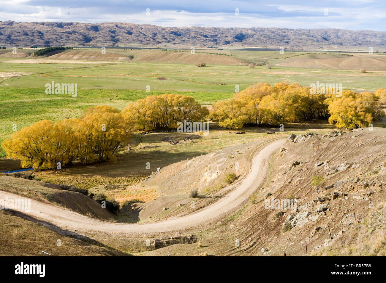 Ida valley otago hi-res stock photography and images - Alamy