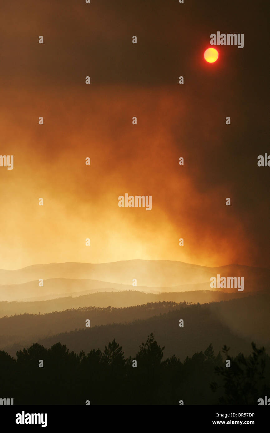 Wildfire hi-res stock photography and images - Alamy