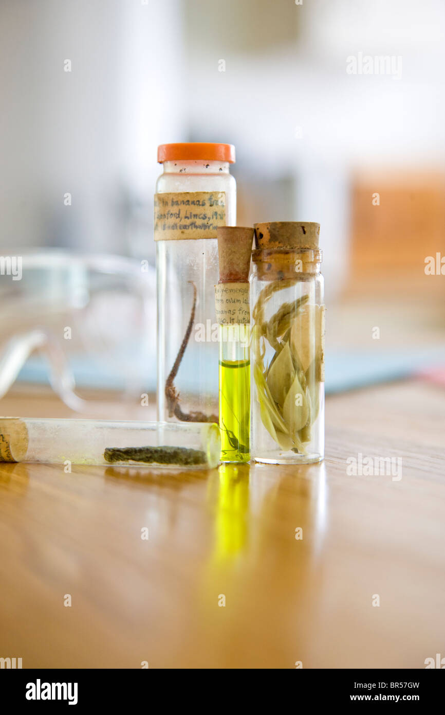 Old school science lab specimen hi-res stock photography and images - Alamy