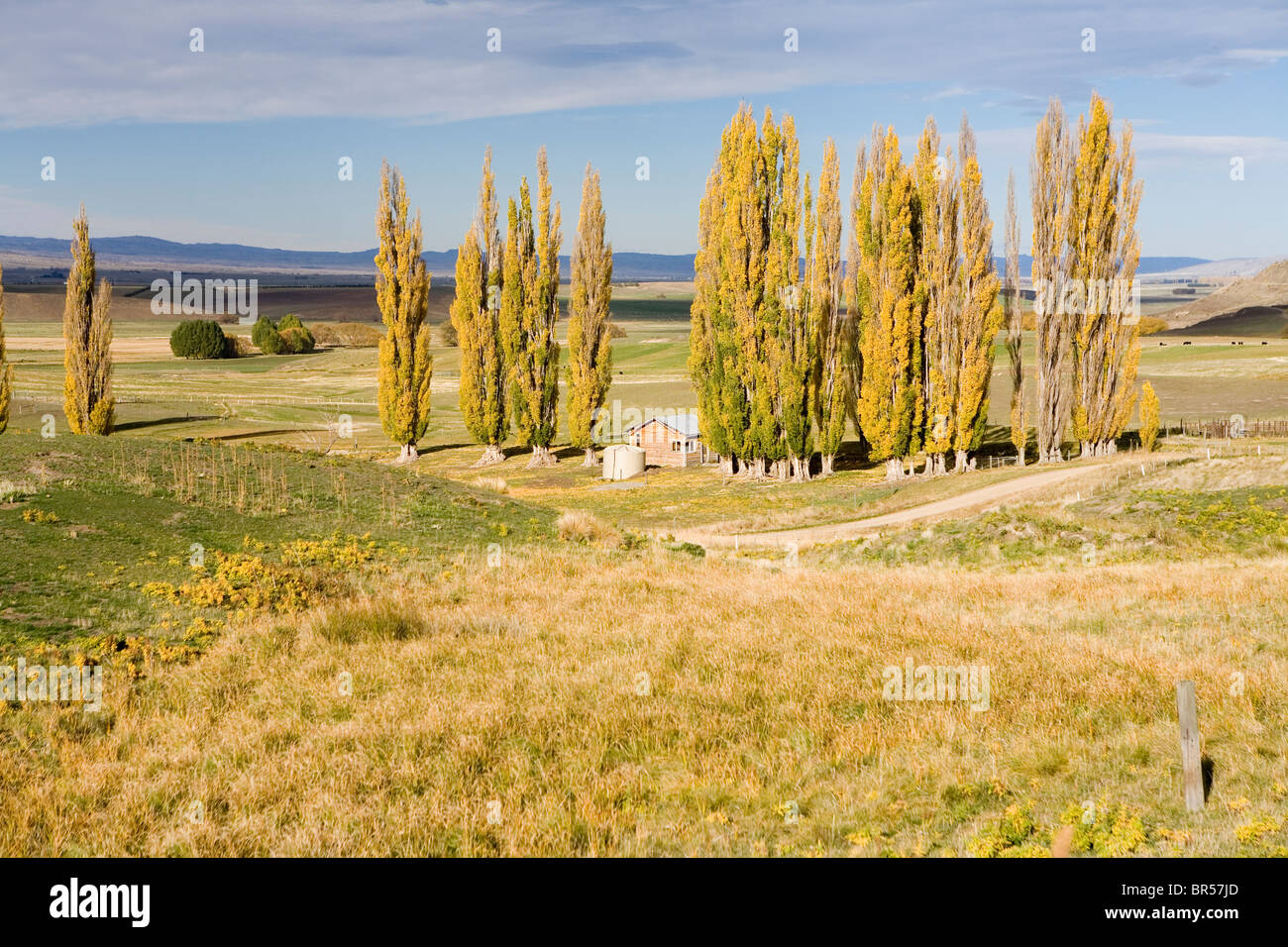 Ida valley otago hi-res stock photography and images - Alamy