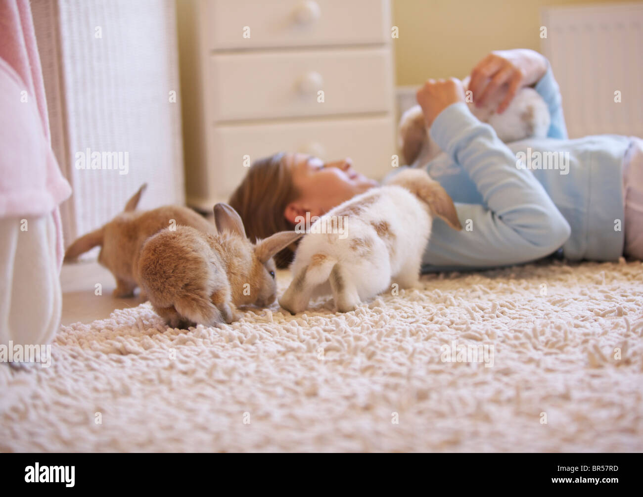 Rabbits hugging hi-res stock photography and images - Alamy