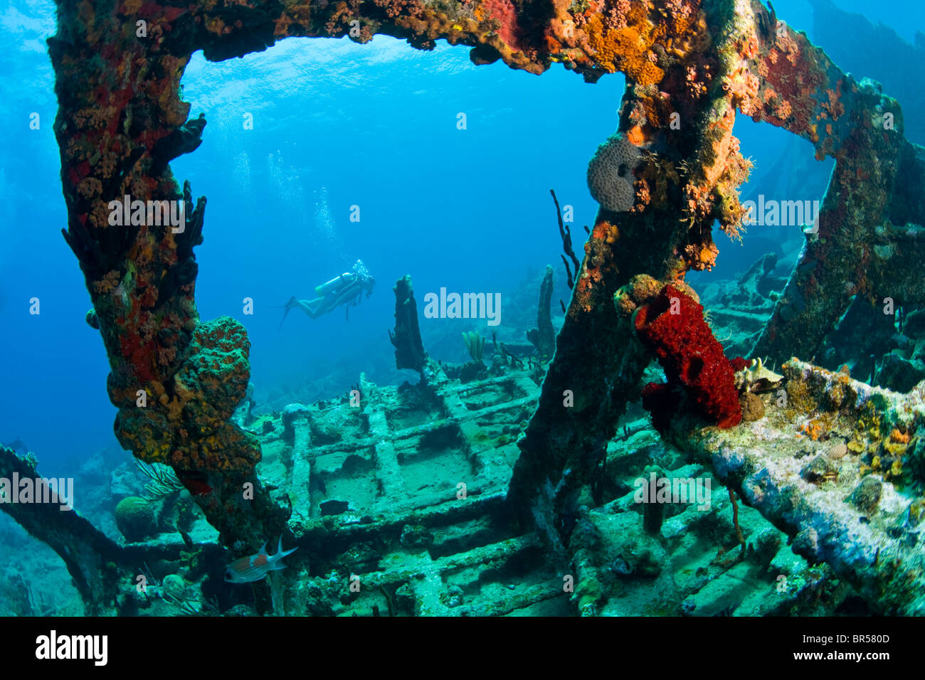 Female teen scuba diver Wreck of the RMS Rhone off the coast of Salt ...