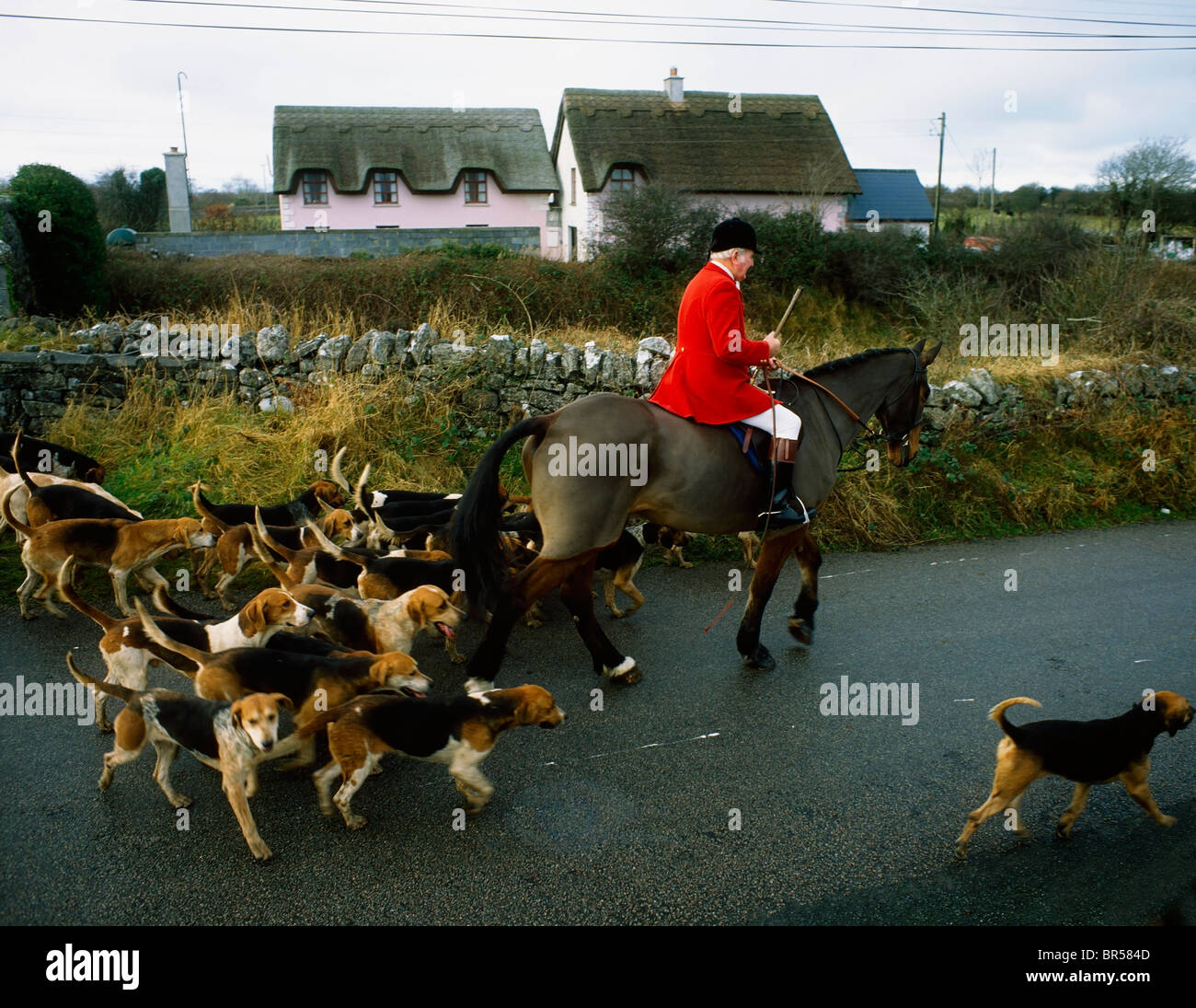 Hunting Horse Ireland High Resolution Stock Photography and Images - Alamy