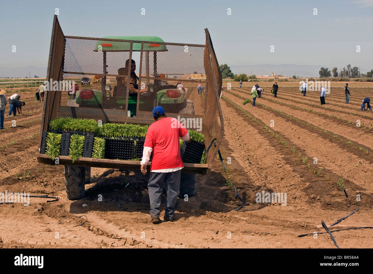 The rich fertile Imperial Valley of Southern California produces sweet ...