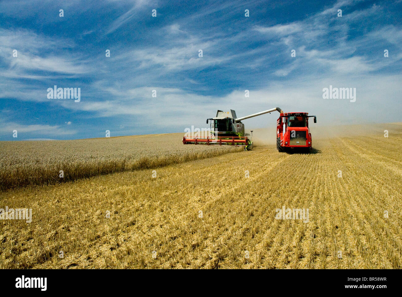 Claas combine harvester hi-res stock photography and images - Alamy