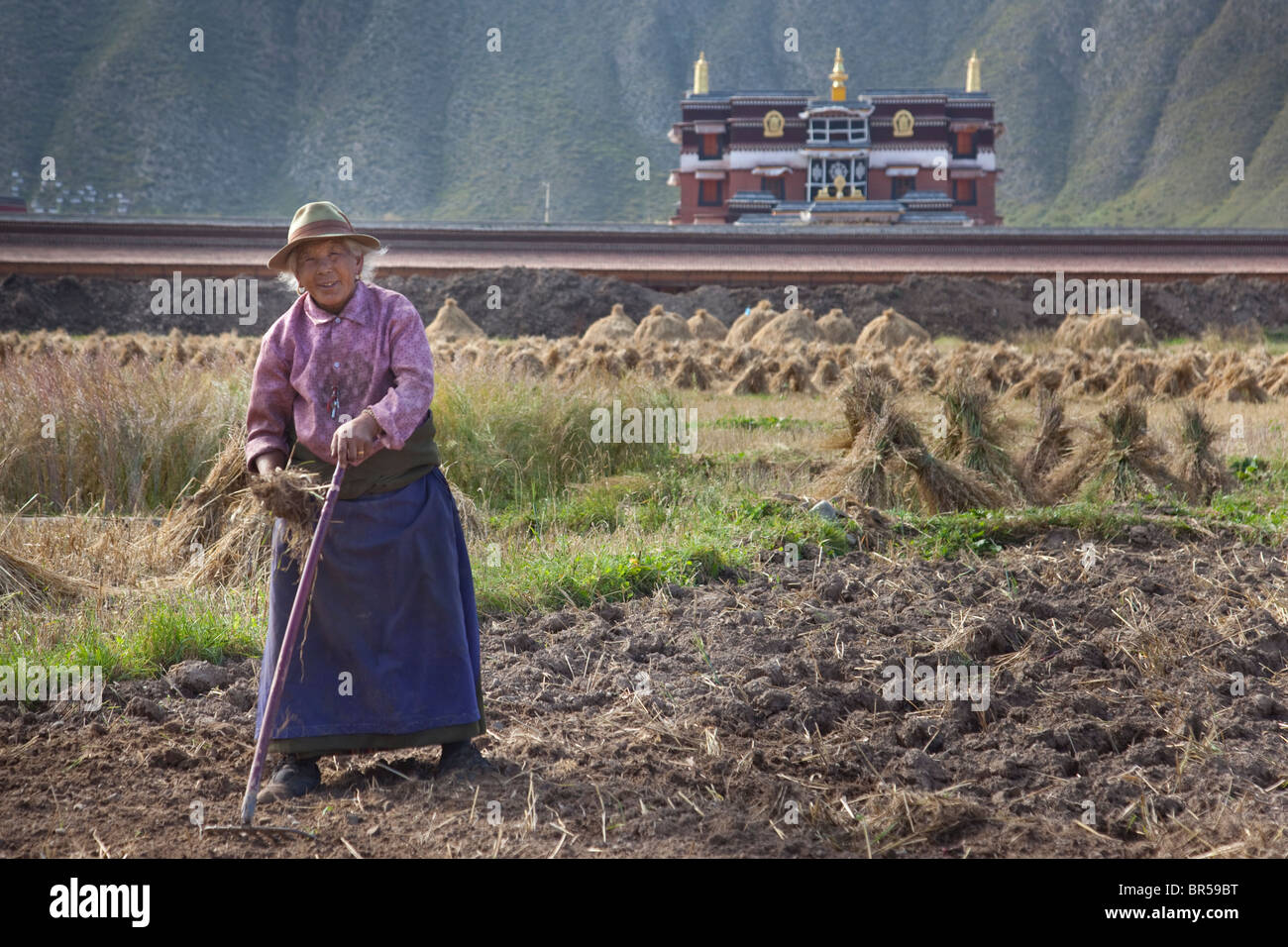 Senior working asia hi-res stock photography and images - Alamy