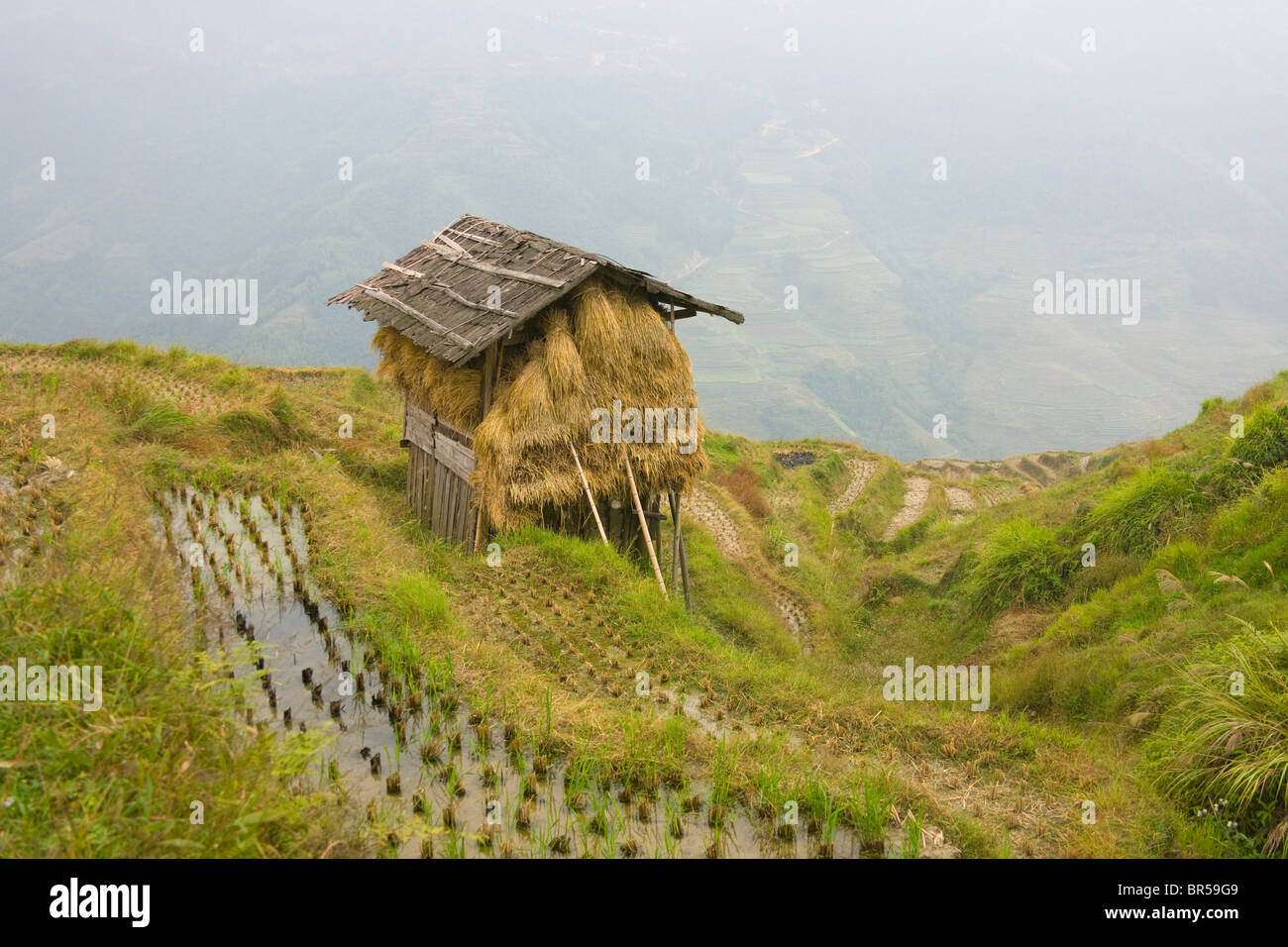 A small hut on the rice terrace, Longsheng, Guangxi, China Stock Photo ...