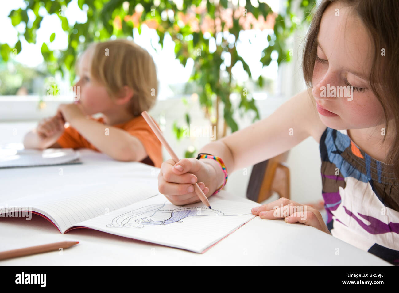 Children drawing colouring doing homework hi-res stock photography and ...