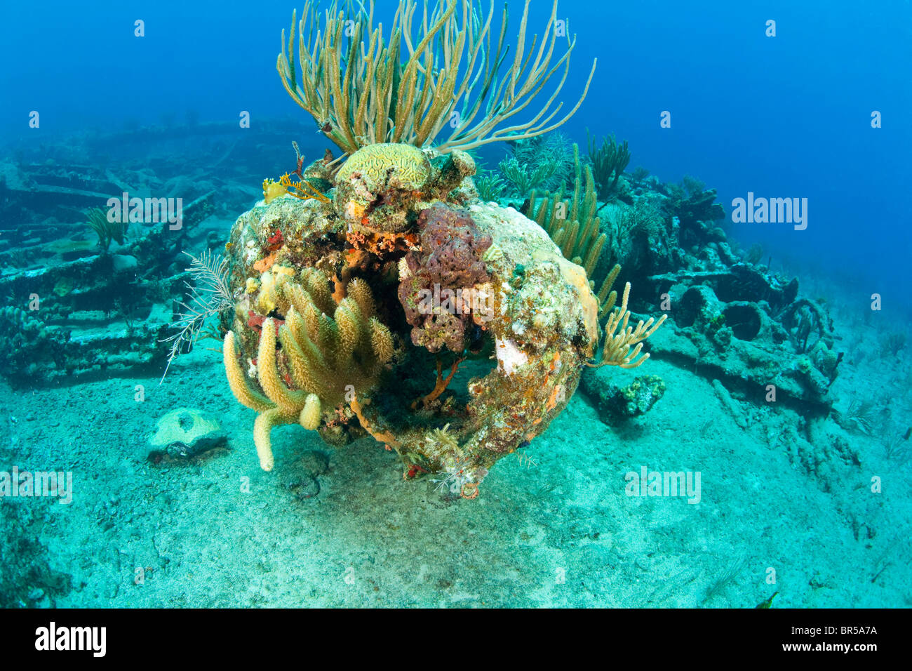 Wreck of the RMS Rhone, iron-hulled steam sailing vessel, sank after ...
