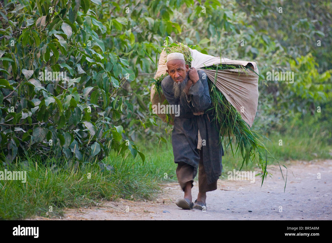 Ouigour hi-res stock photography and images - Alamy