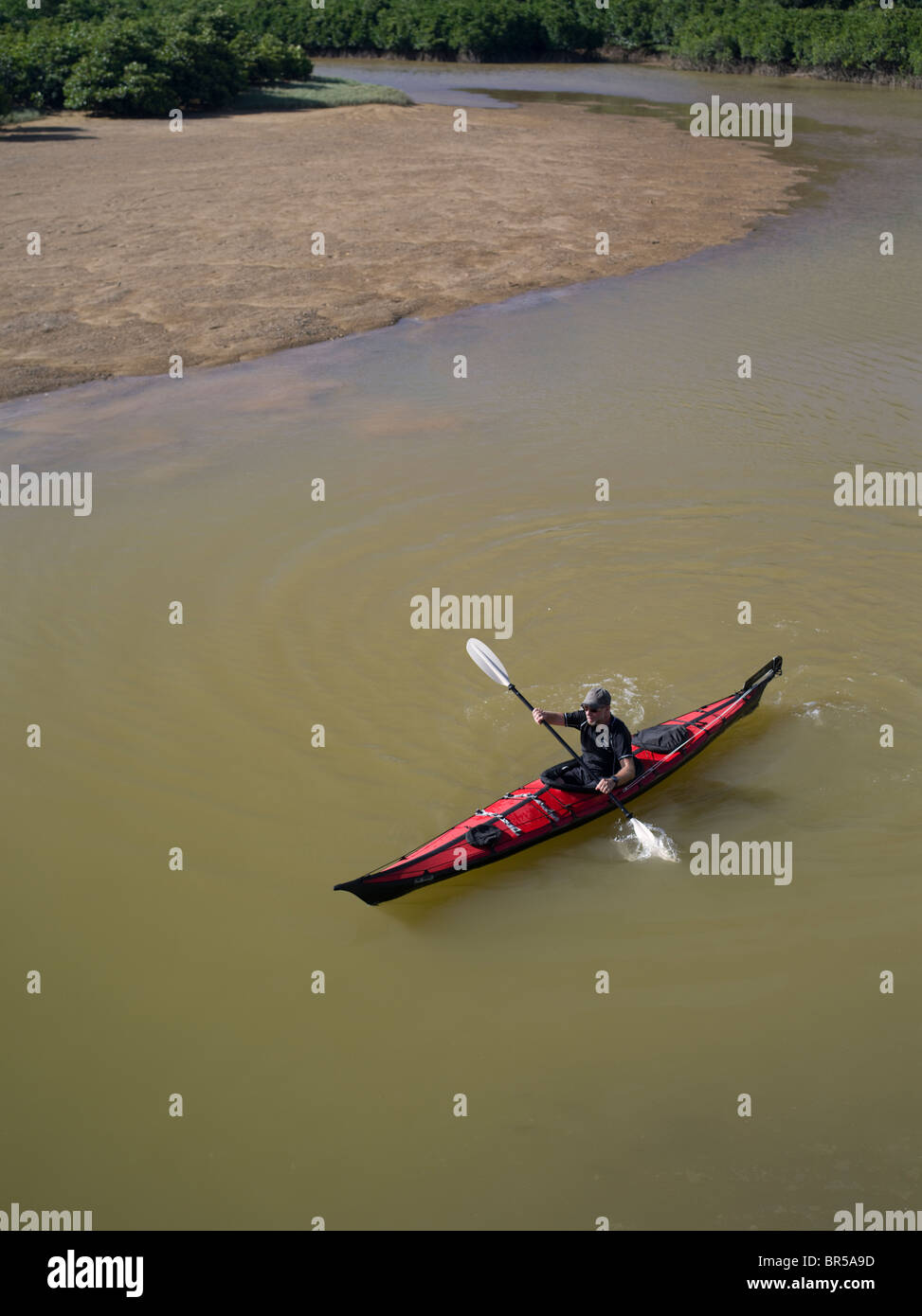 Kayaking among the mangroves in Okinawa, Japan Stock Photo - Alamy