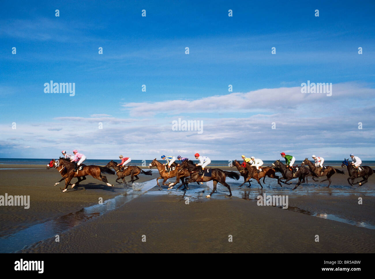 Laytown, Co Meath, Ireland, Horse Racing On The Beach Stock Photo - Alamy