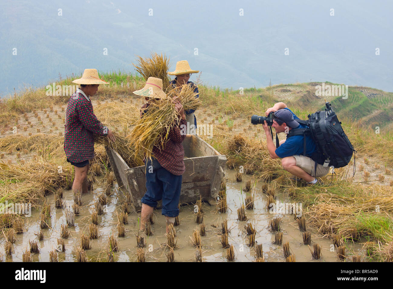 Terrace farming hi-res stock photography and images - Alamy