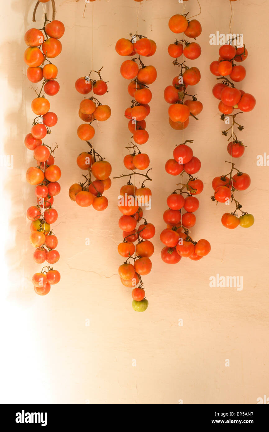 Hanging tomatoes on white wall Stock Photo - Alamy