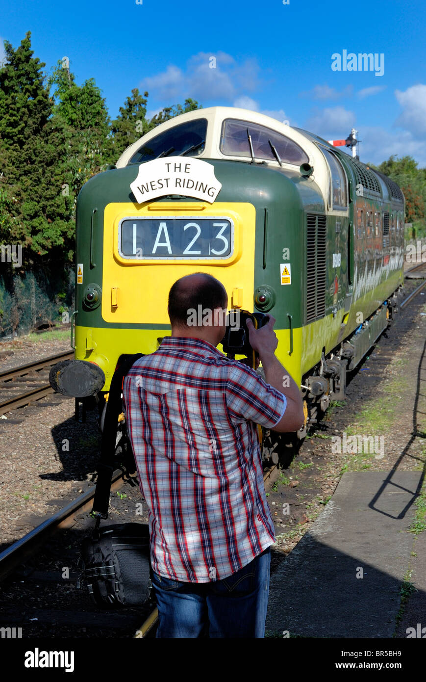 Alycidon deltic diesel locomotive at great central railway loughborough ...
