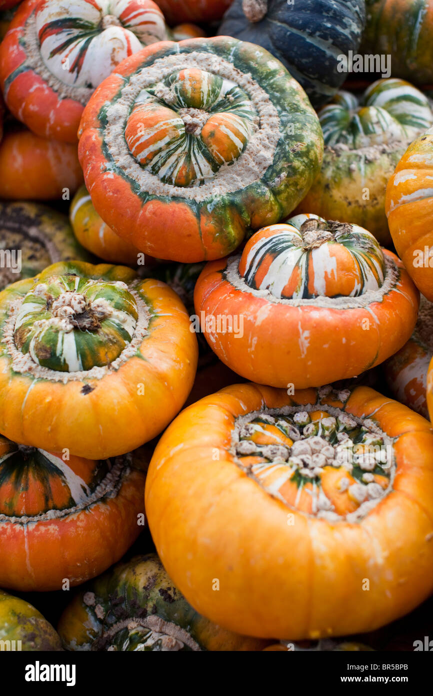 A pile of Turk's Turban Pumpkins Stock Photo - Alamy