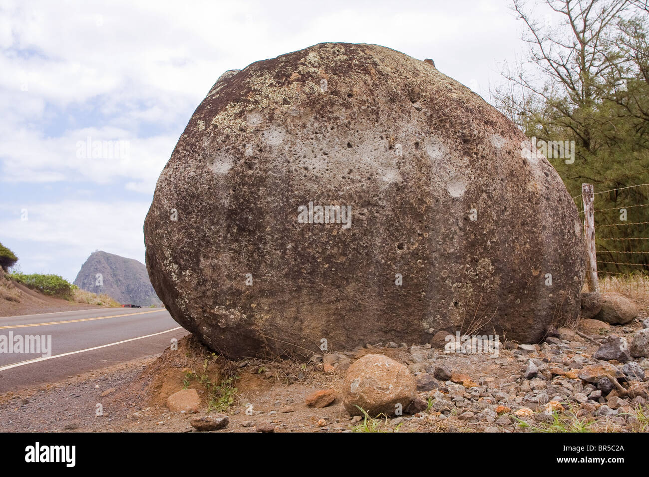 Kani hi-res stock photography and images - Alamy