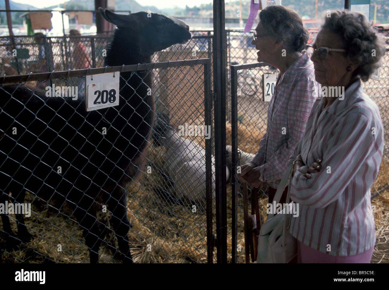 Durango fair hi-res stock photography and images - Alamy