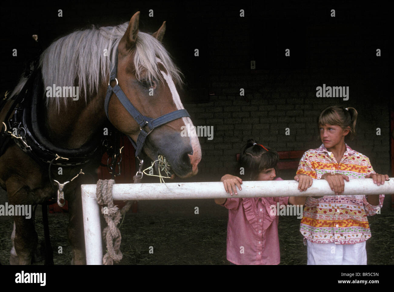 Durango colorado small town travel west tourism americana hi-res stock ...