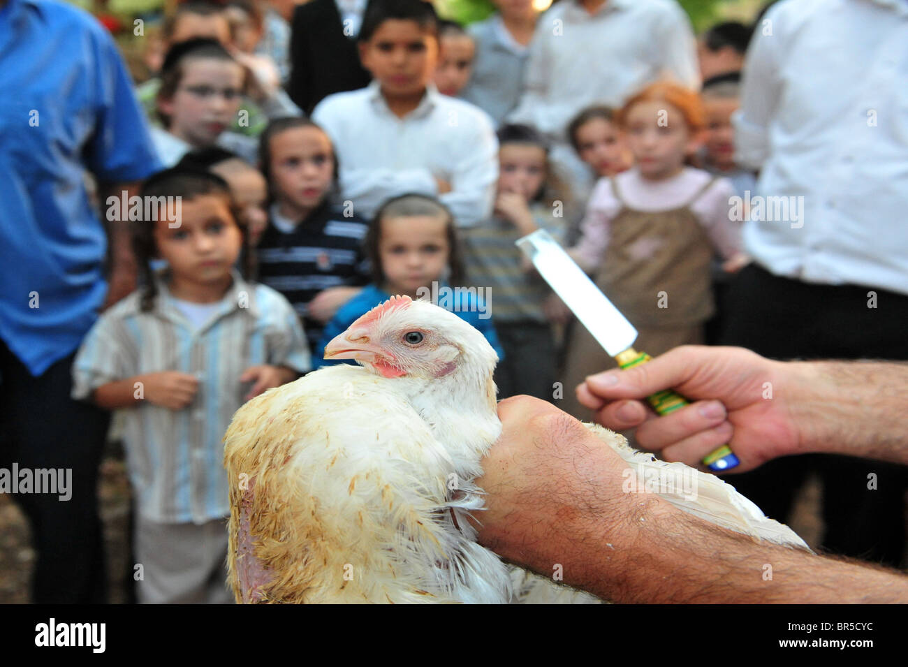 Kaparot Ceremony Israel High Resolution Stock Photography and Images ...