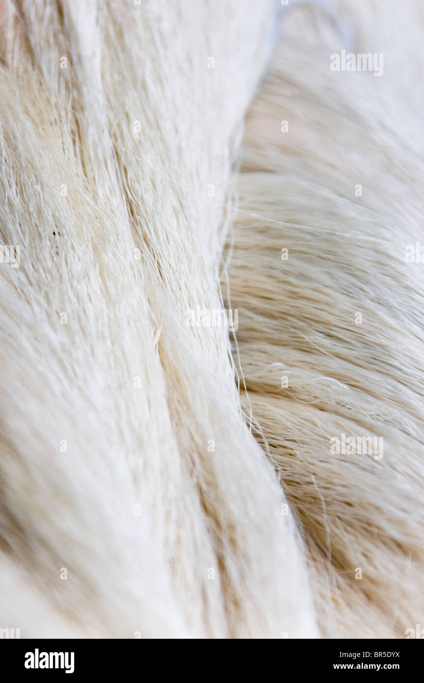 Chinese silk threads hi-res stock photography and images - Alamy