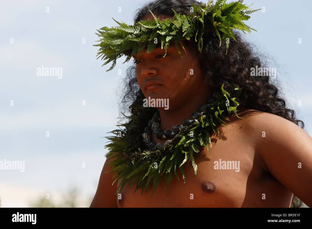Halau hula hi-res stock photography and images - Alamy