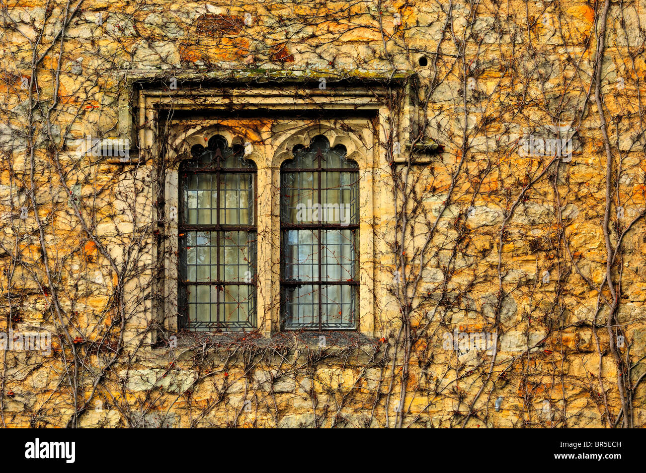Old castle and ivy hi-res stock photography and images - Alamy