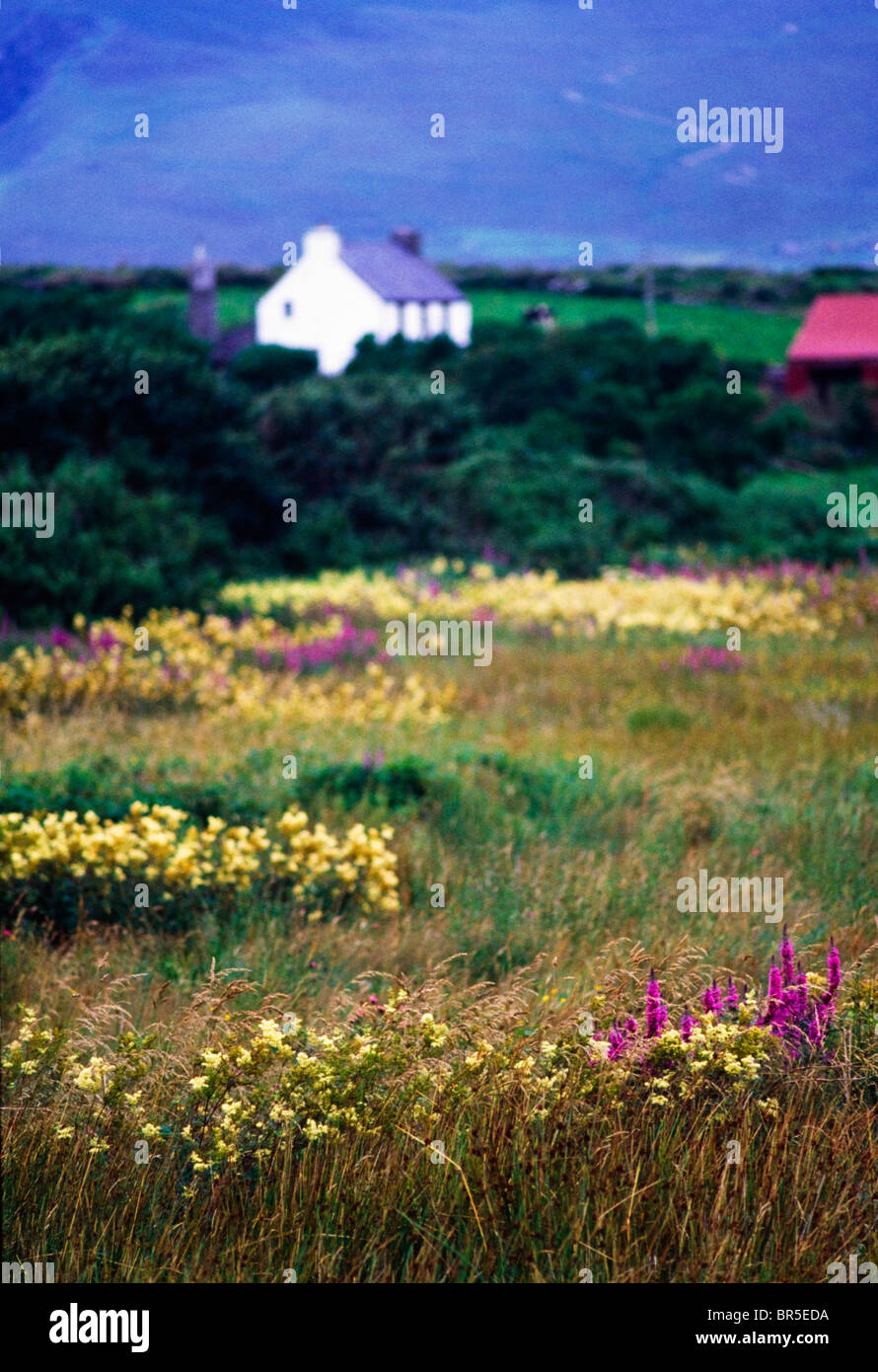 Ballyvaughan co clare hi-res stock photography and images - Alamy