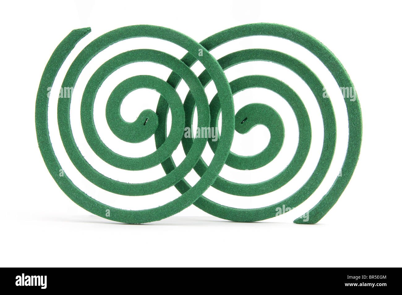 Insect coils Cut Out Stock Images & Pictures - Alamy