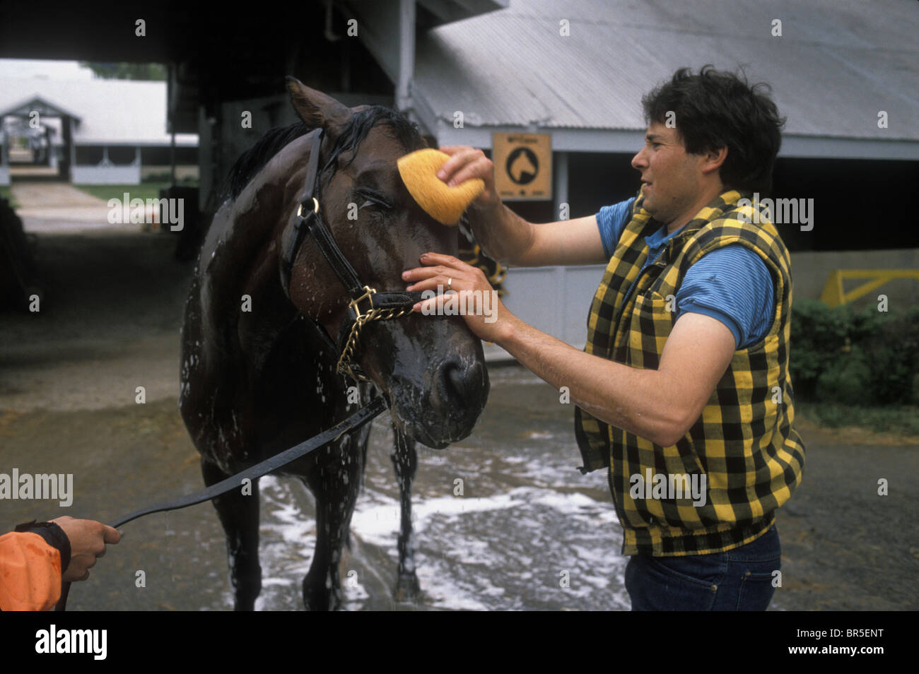 Lexington kentucky race track hi-res stock photography and images - Alamy