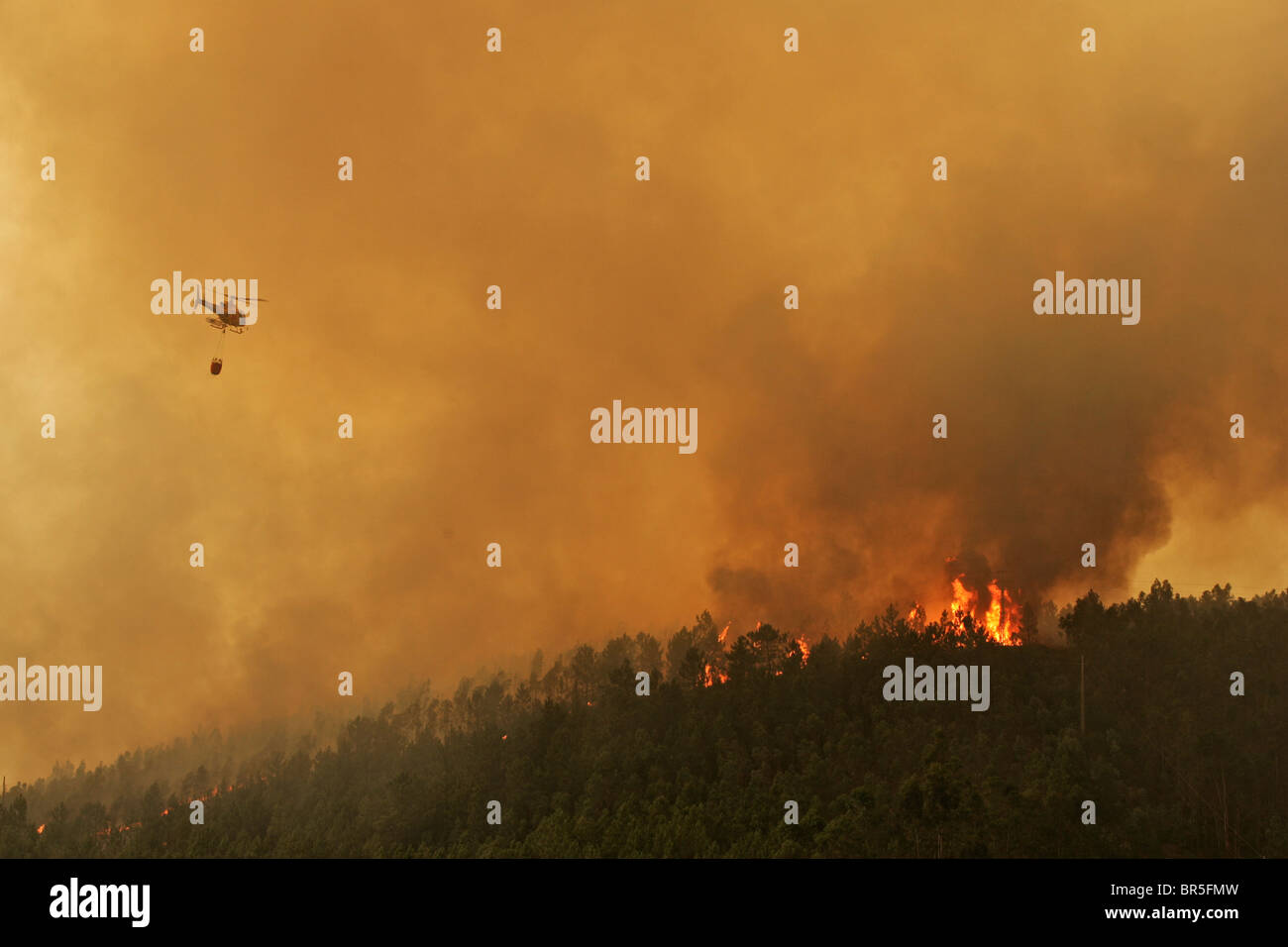 Fire department helicopter prepares to drop water on a wildfire Stock ...