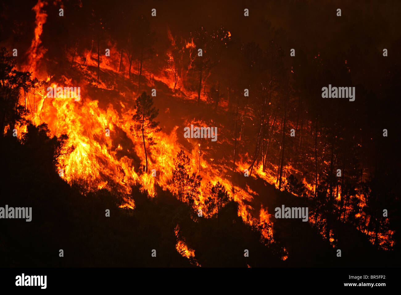 Portuguese forest fire hi-res stock photography and images - Alamy