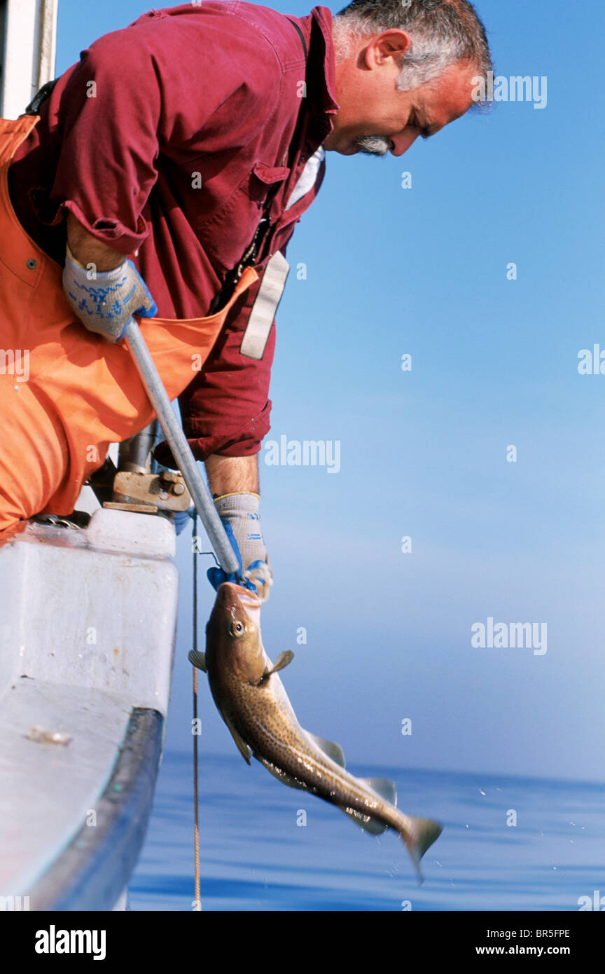Long line cod fishing hi-res stock photography and images - Alamy