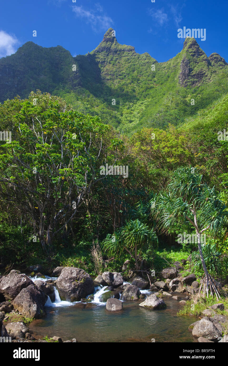 Kauai, HI: Limahuli Garden, National Tropical Botanical Garden Stock ...