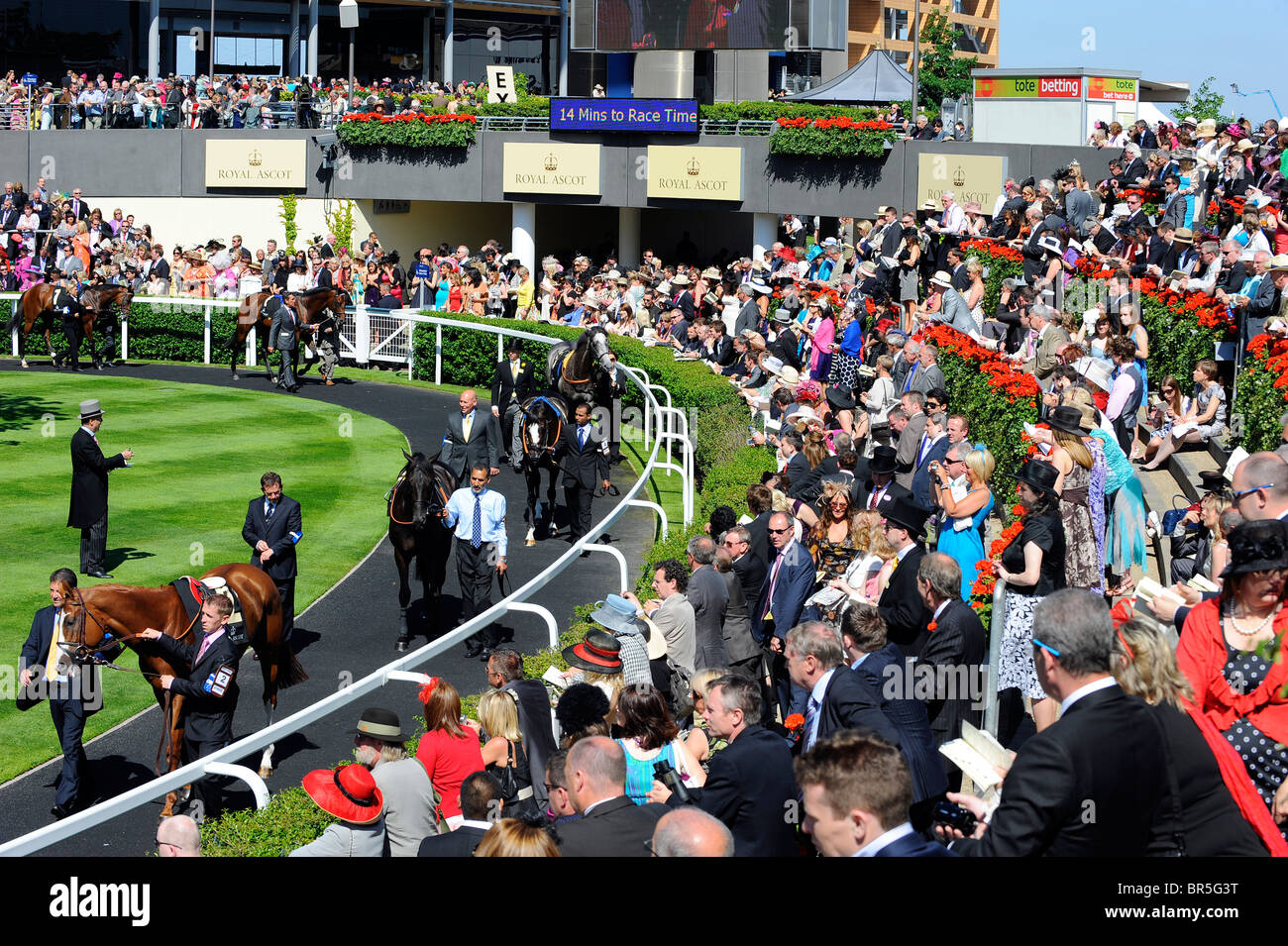 Parade ring ascot hi-res stock photography and images - Alamy