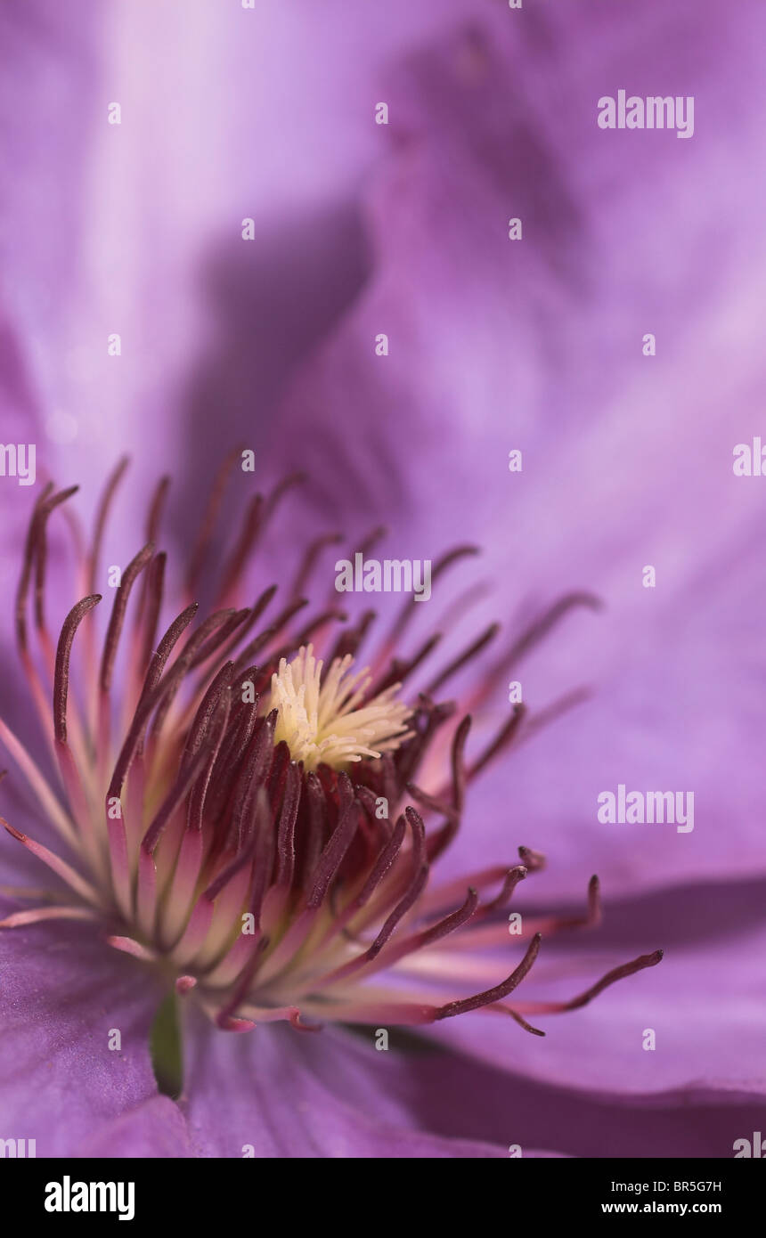 Richard pennell hi-res stock photography and images - Alamy