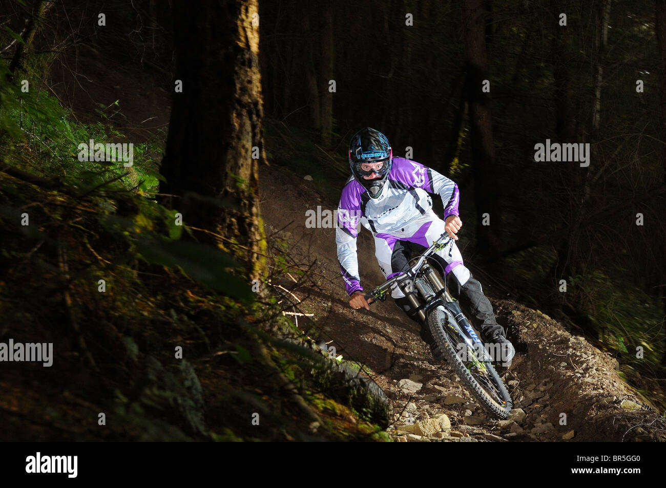 A downhill mountain biker corners at speed on a trail in woodland Stock ...