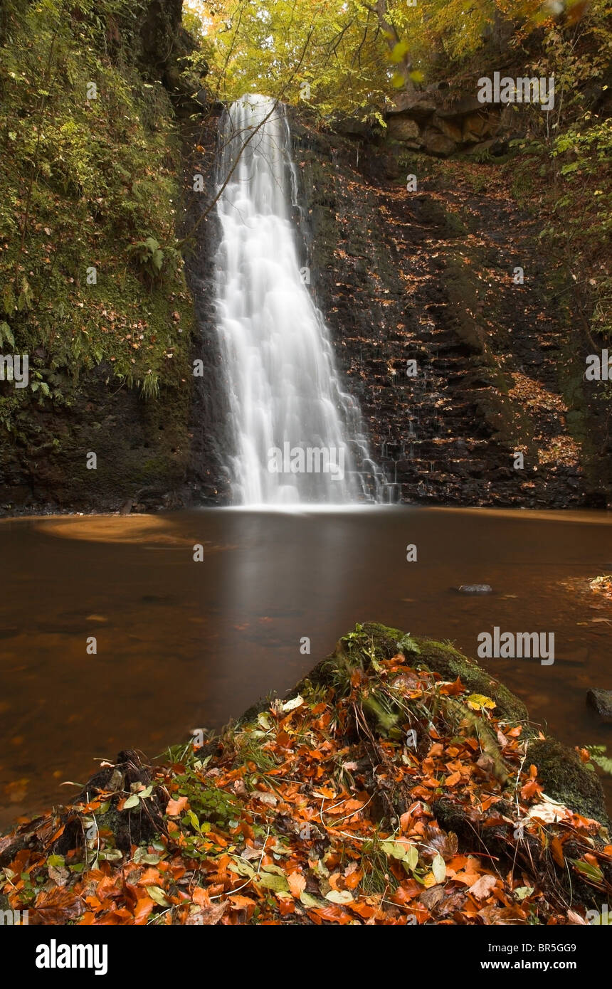 Sneaton forest falling foss waterfall hi-res stock photography and ...