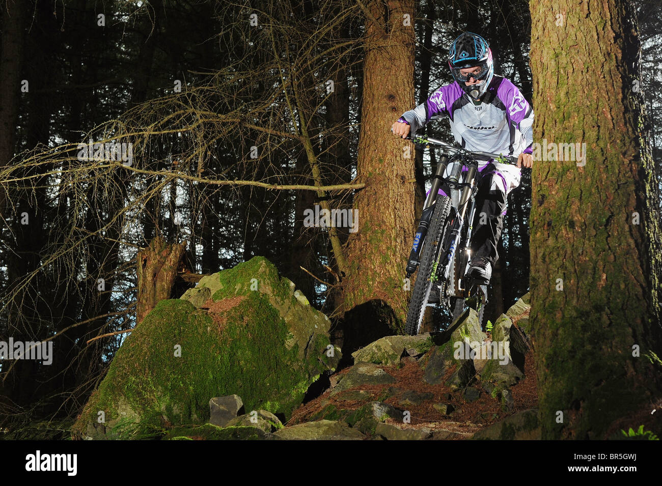 A downhill mountain biker rides over rocks between two trees in ...