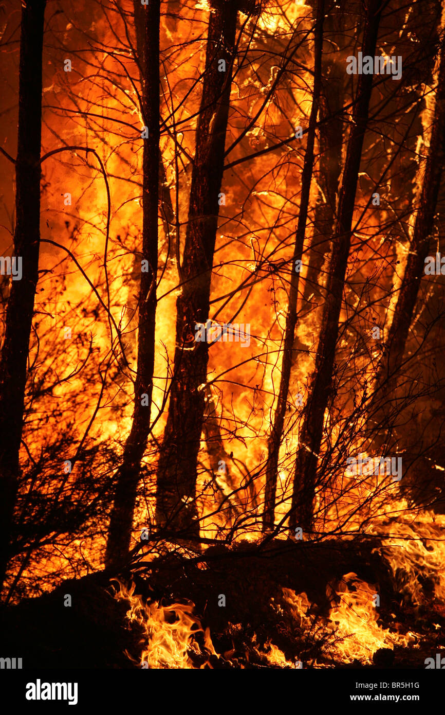 Wildfire hi-res stock photography and images - Alamy