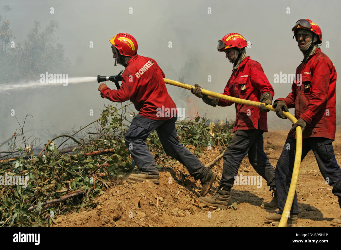 Firemen work together as a team to extinguish a wildfire on a forest ...