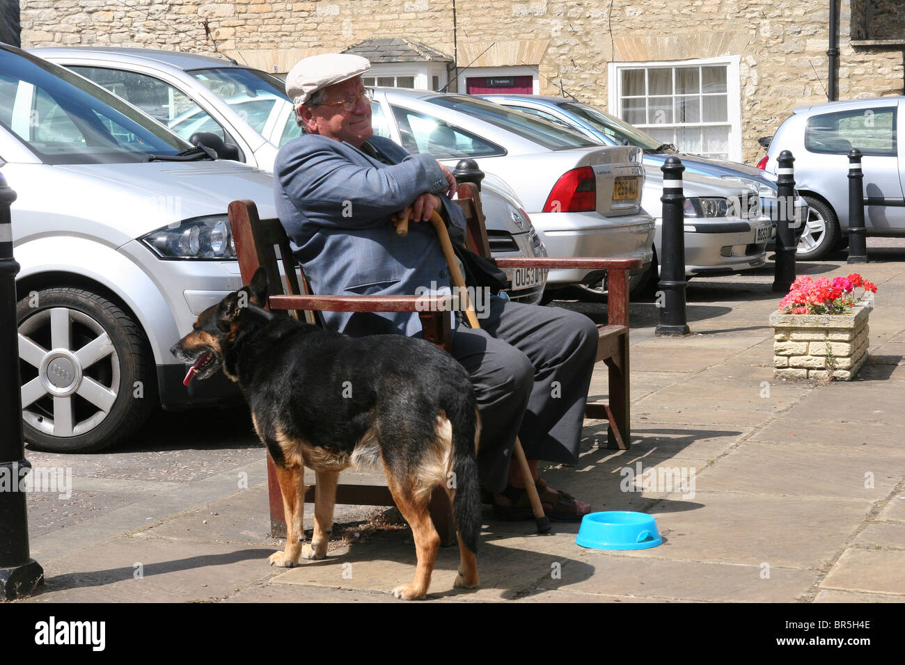 Old Man Dog Stock Photos & Old Man Dog Stock Images - Alamy