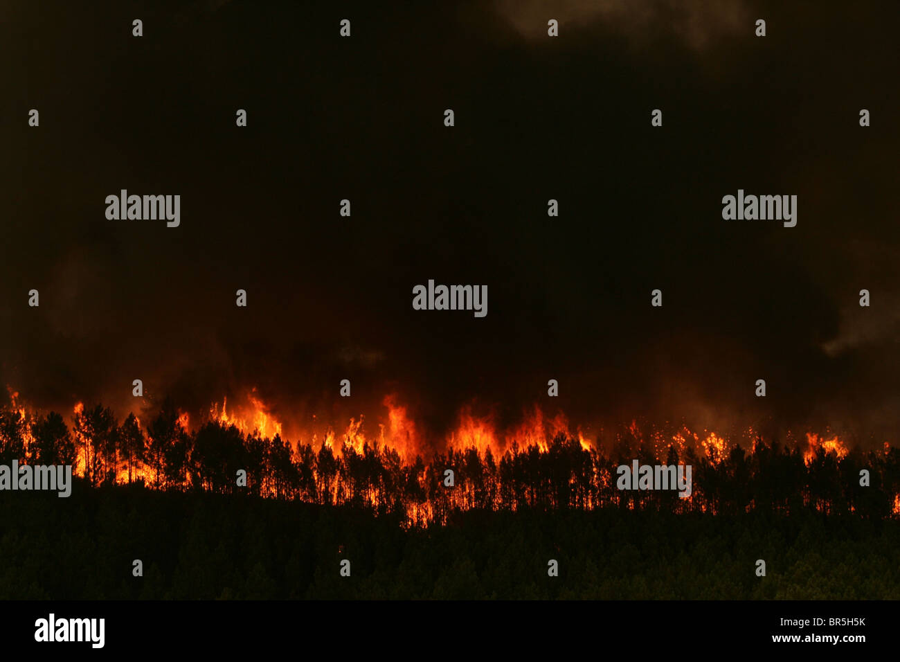 Wildfire hi-res stock photography and images - Alamy